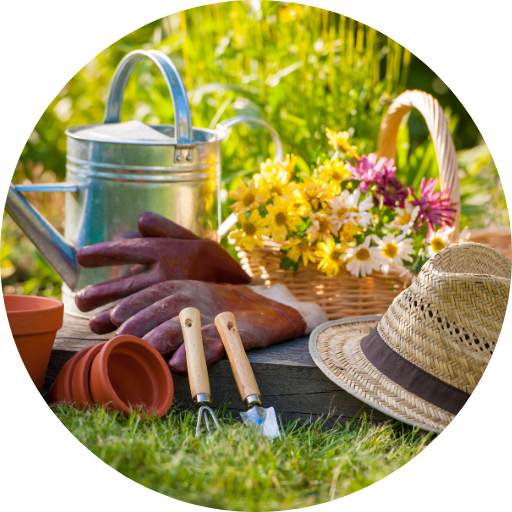 Coming Soon - Pick Your Plant