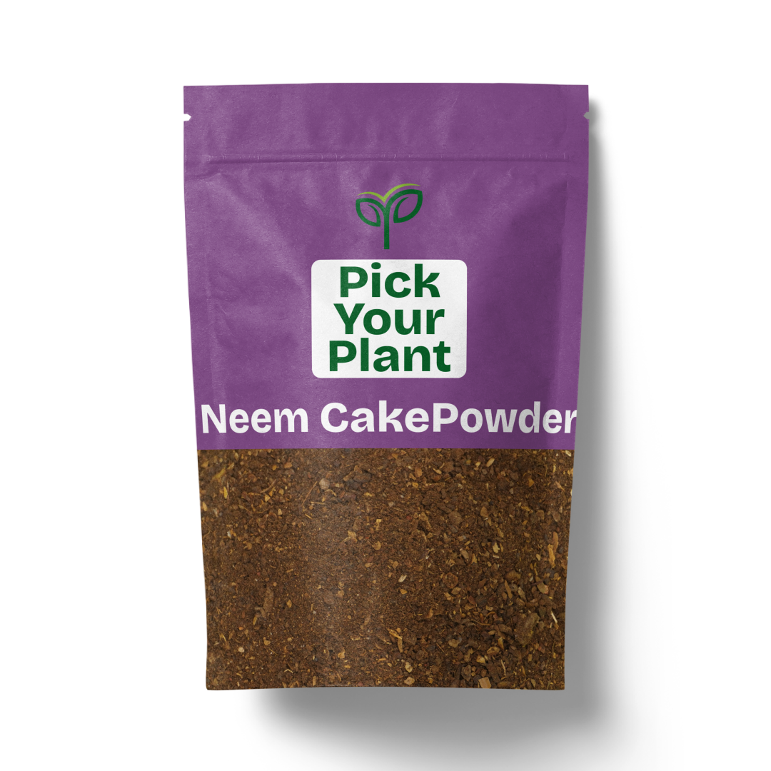 Neem cake Powder