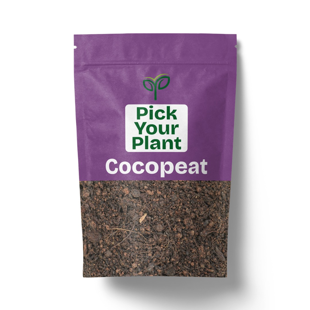Coco Peat